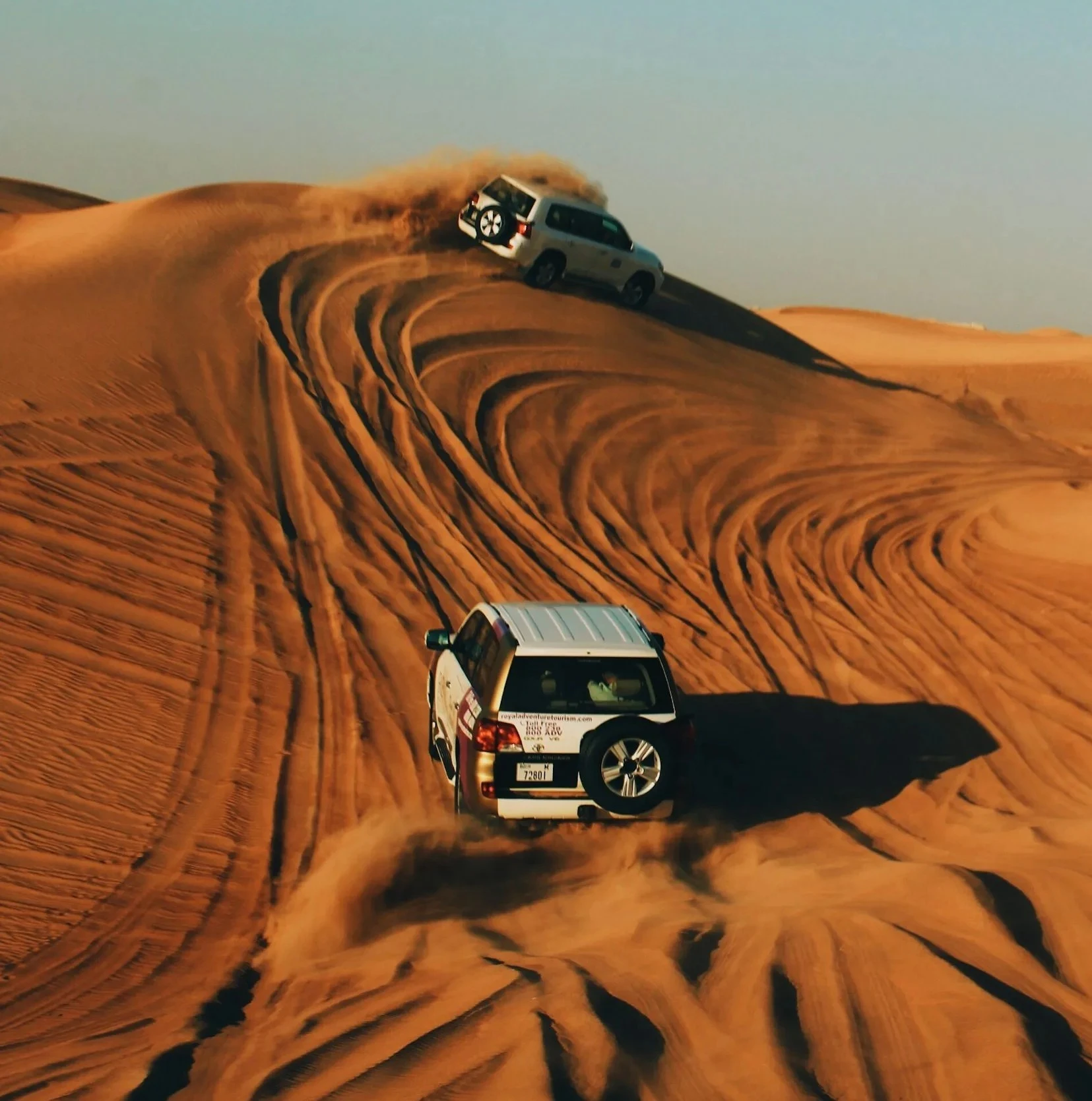 NeuroOcean Tours - Your Perfect UAE Desert Adventure